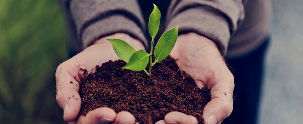 SESAJAL ® | Nutrimos Vidas, Desarrollando Soluciones Sustentables – SESAJAL dedicados durante ...