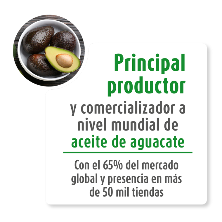 SESAJAL ® | Nutrimos Vidas, Desarrollando Soluciones Sustentables – SESAJAL dedicados durante ...