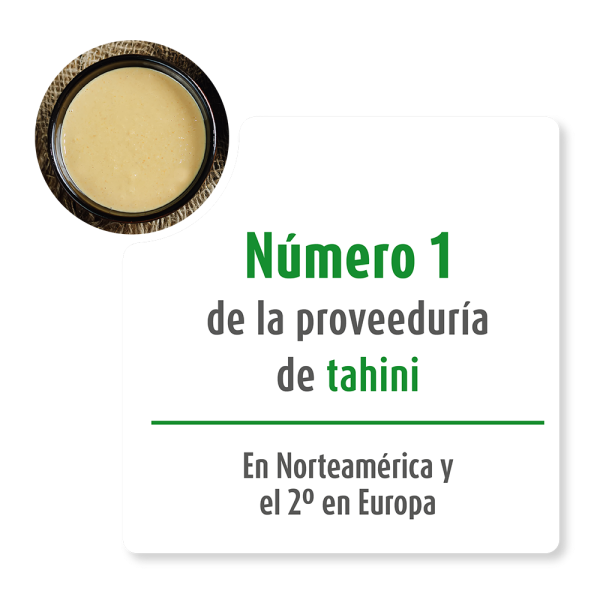 SESAJAL ® | Nutrimos Vidas, Desarrollando Soluciones Sustentables – SESAJAL dedicados durante ...