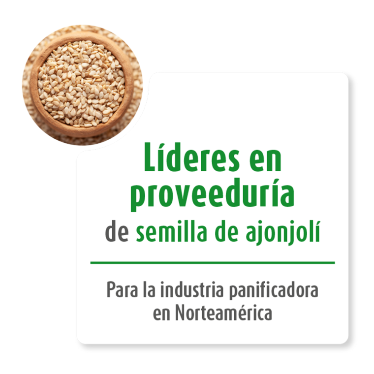 SESAJAL ® | Nutrimos Vidas, Desarrollando Soluciones Sustentables – SESAJAL dedicados durante ...