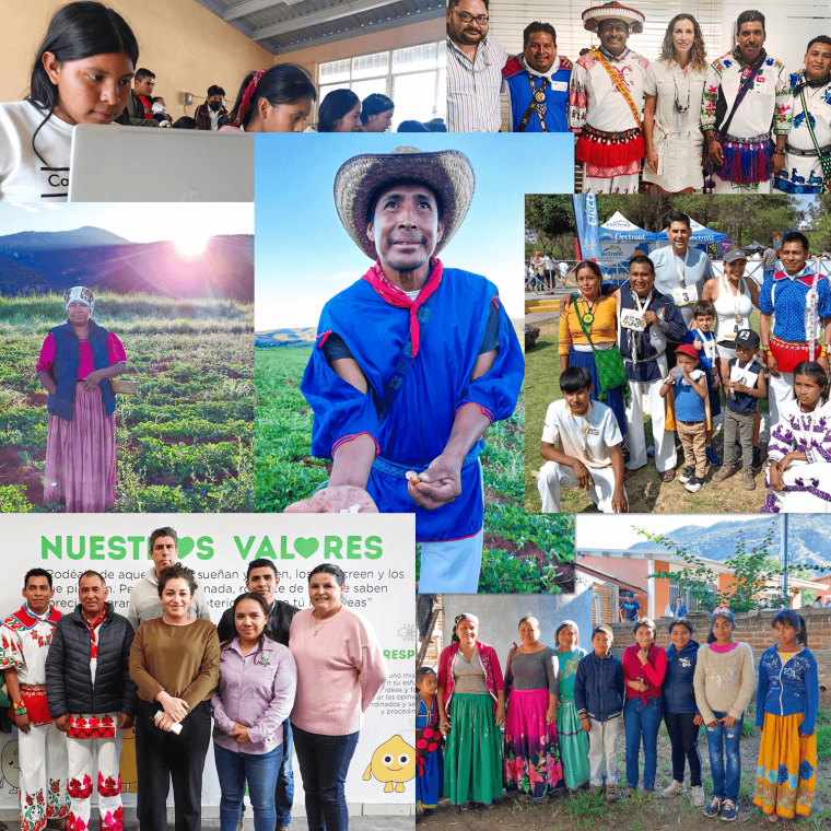 Sustentabilidad – SESAJAL ® | Nutrimos Vidas, Desarrollando Soluciones ...