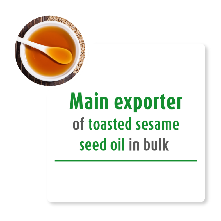 International – SESAJAL ® | Nutrimos Vidas, Desarrollando Soluciones Sustentables