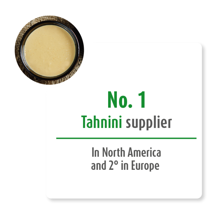 International – SESAJAL ® | Nutrimos Vidas, Desarrollando Soluciones Sustentables