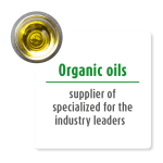 International – SESAJAL ® | Nutrimos Vidas, Desarrollando Soluciones Sustentables