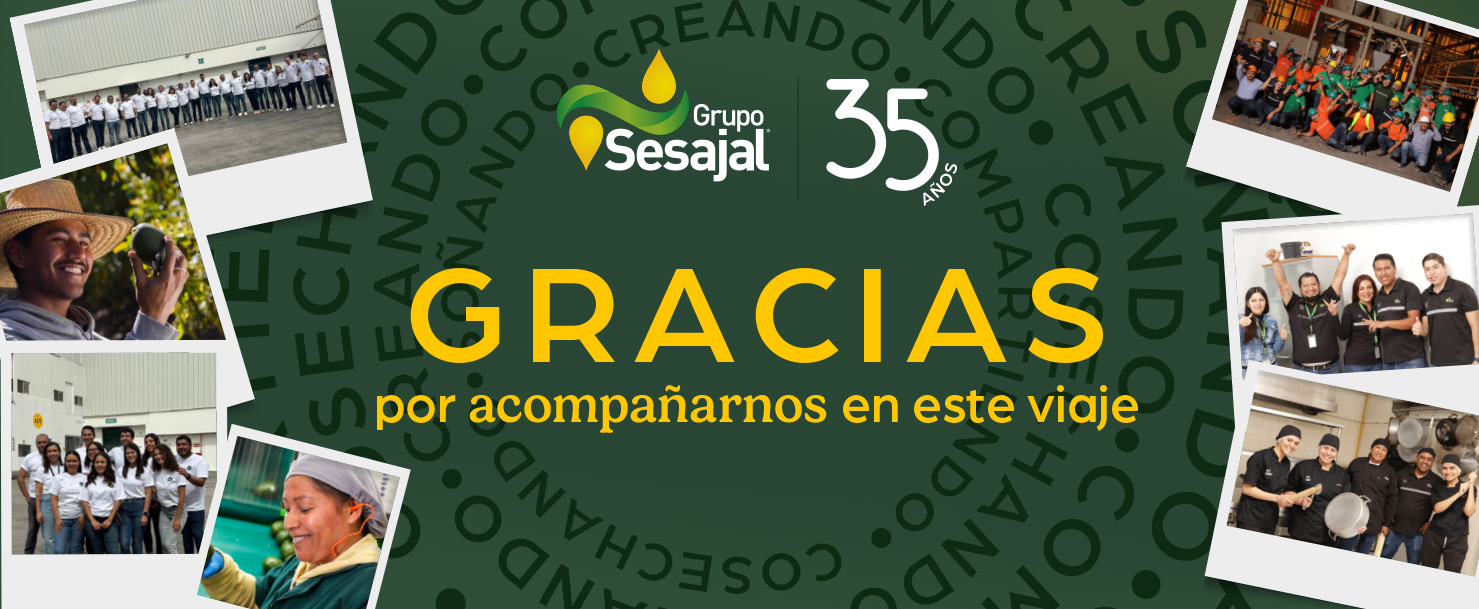 SESAJAL ® | Nutrimos Vidas, Desarrollando Soluciones Sustentables – SESAJAL dedicados durante ...